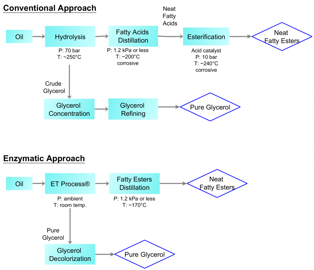 Enzymatic Transesterification for Oleochemicals | Sunho Biodiesel ...